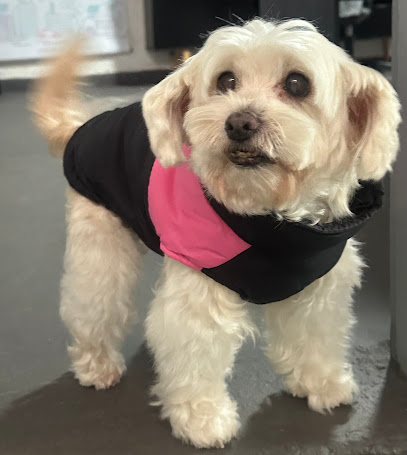 Veterinaria El Estribo - Montevideo - Veterinarias Uruguay